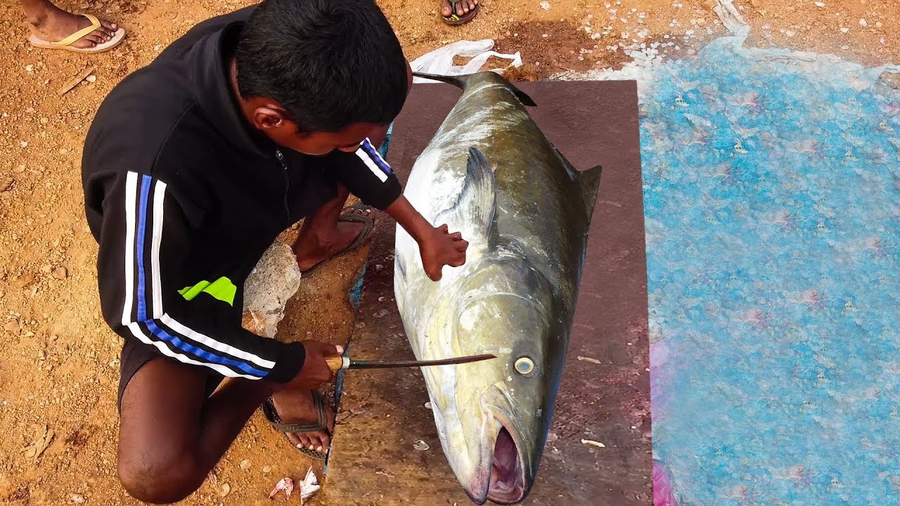 Live Fastest Fish Cutting Ever Seen | FISH CUTTING | Fisher Man - YouTube