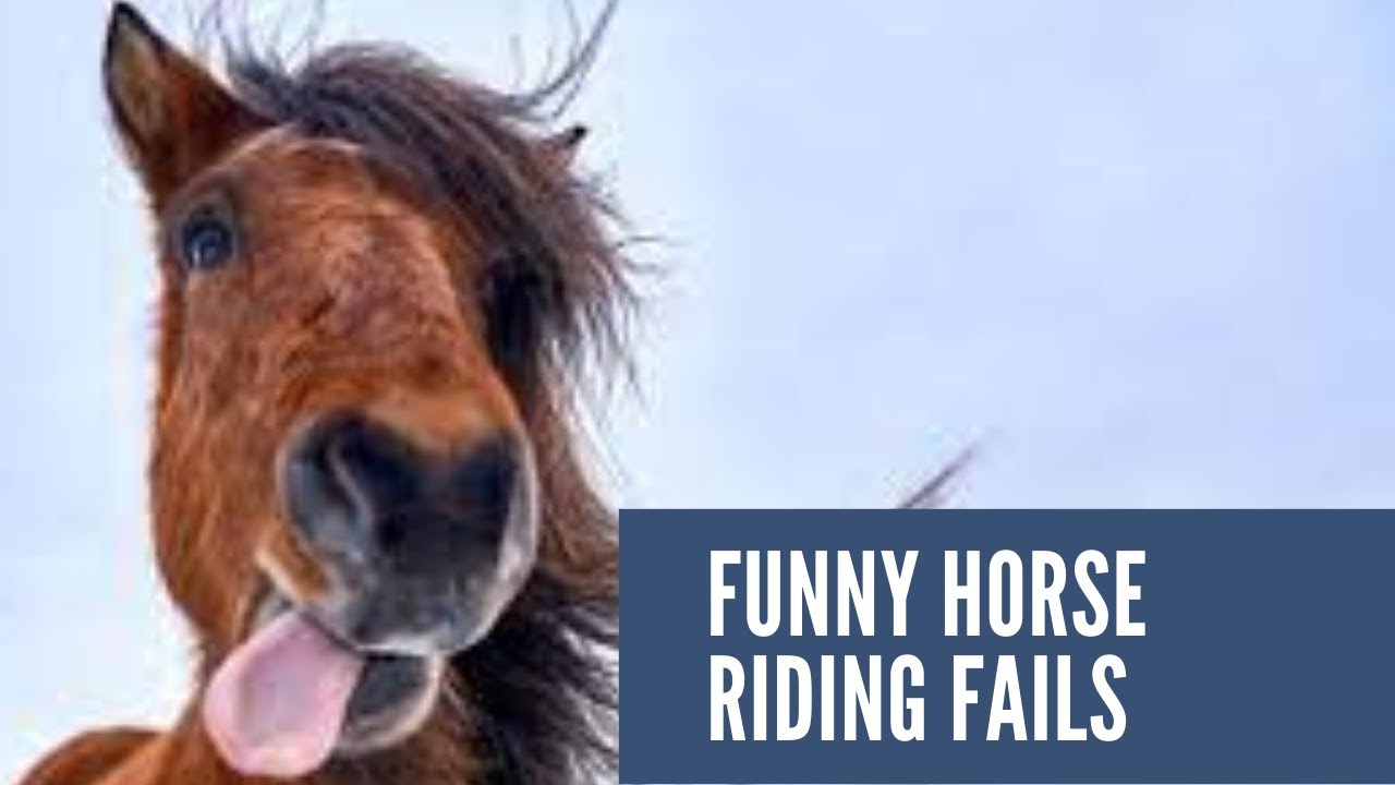 Funny Horse Riding Fails🦄[BEST OF 2021]🐴 - YouTube