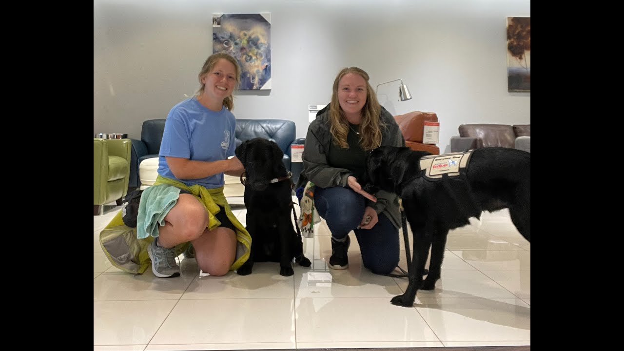 Apprentice Day in the Life at the Guide Dog Foundation & America's ...