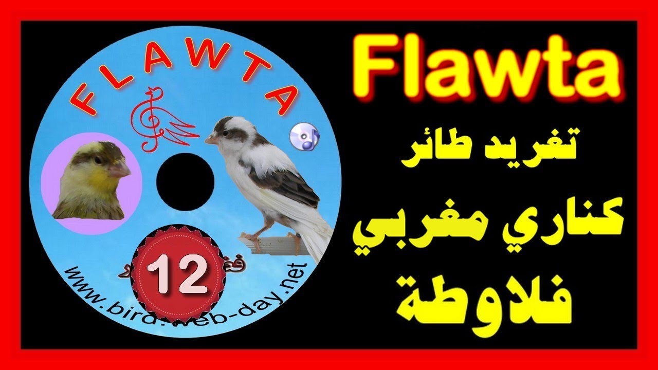 كناري فلاوطةCHANT DE CANARI FLAWTA (CD) - YouTube