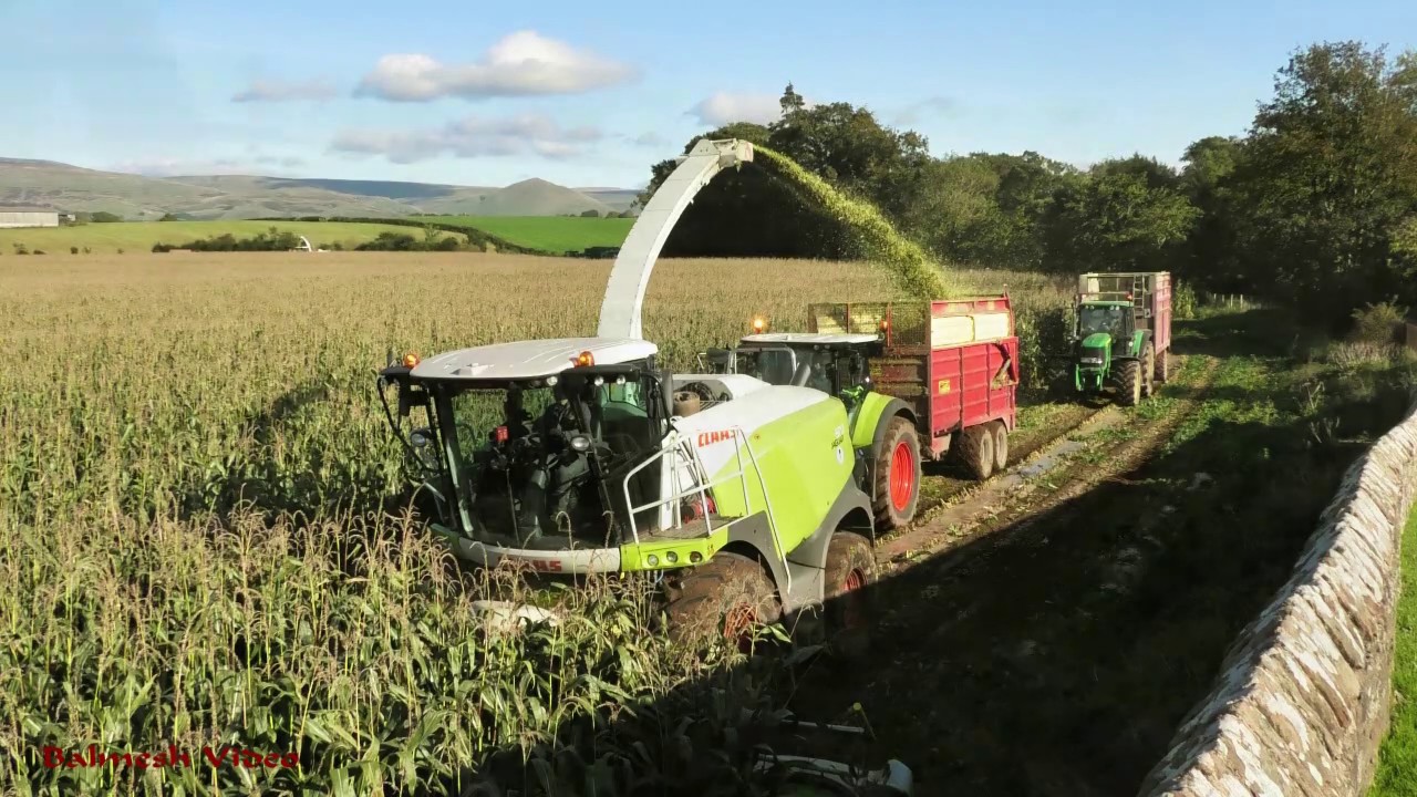 Maize - Two Claas 970s and a Struggle with a Tree branch! - YouTube