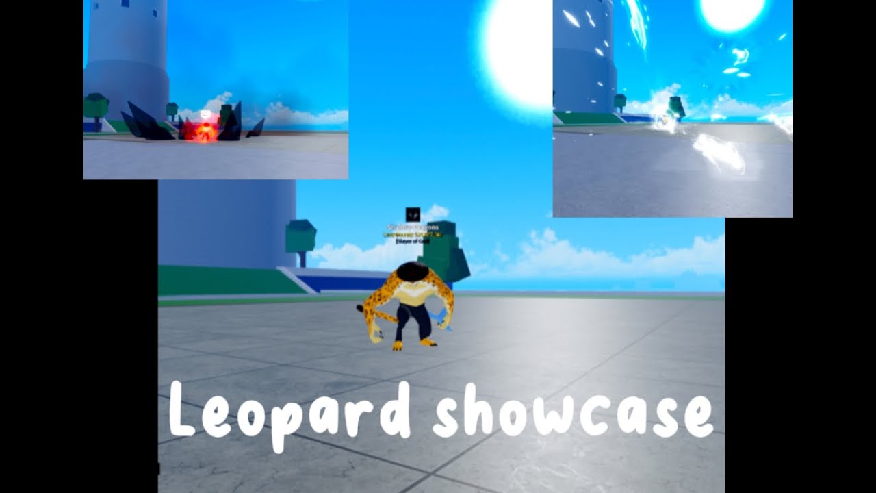 LEOPARD SHOWCASE - YouTube