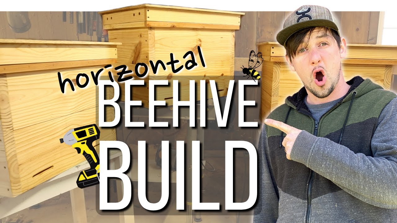 Building Layens Horizontal Hives In An Old Amish Barn (+ Swarm Traps ...