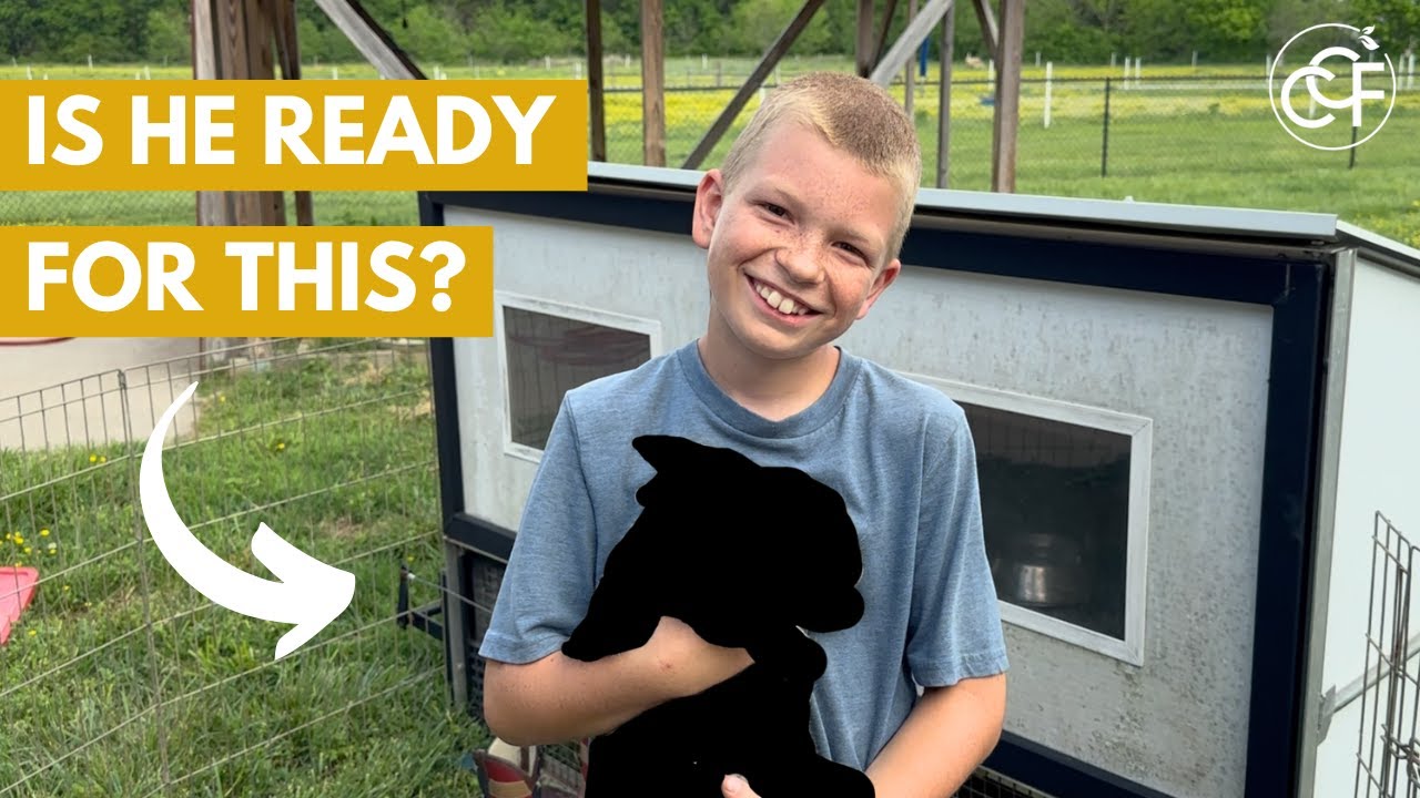 Caleb Got A What?!? | Crossing Creeks Farm - YouTube
