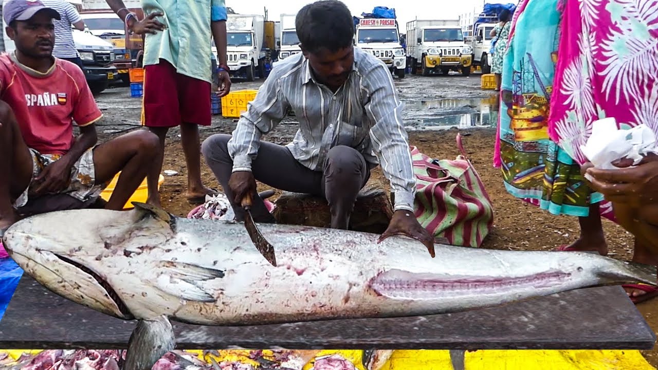 Live Fastest Big Fish Cutting Skills | Live in Fish Market 2019 ...