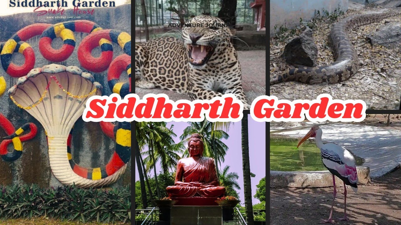 Siddharth Garden /Zoo in Aurangabad /Zoo vlog - YouTube