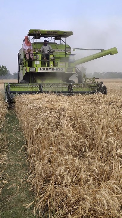 Combine Harvester Machine Working 😱😱#combine #harvester #machine # ...