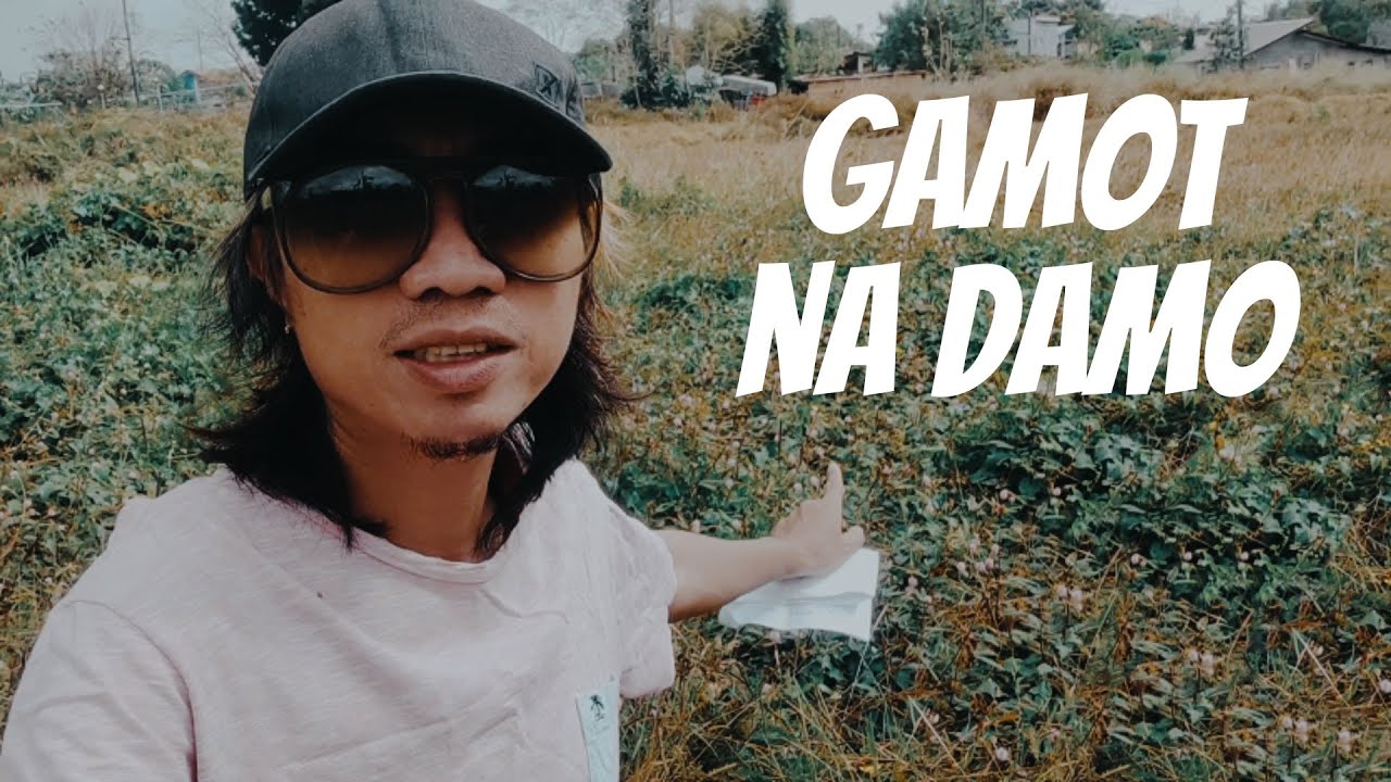 Gamot na damo - YouTube