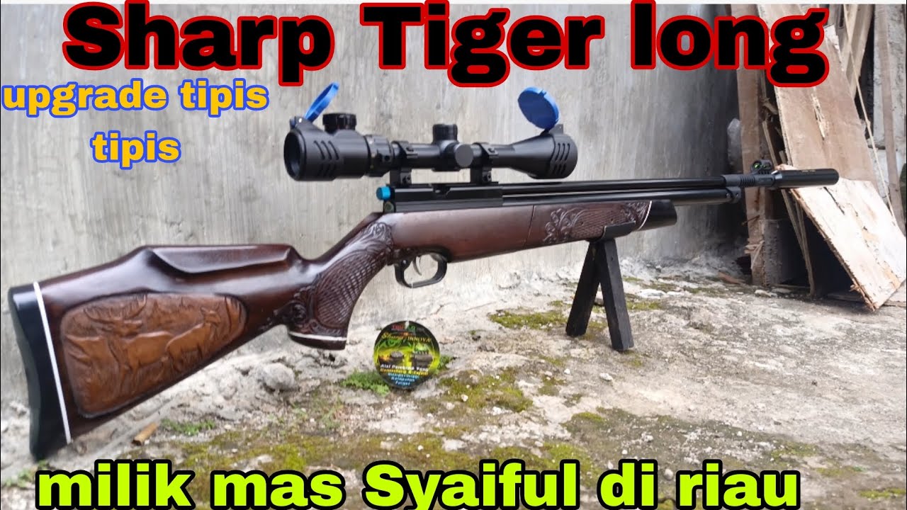 Review uklik Sharp Tiger long truglo upgrade tipis tipis milik mas ...