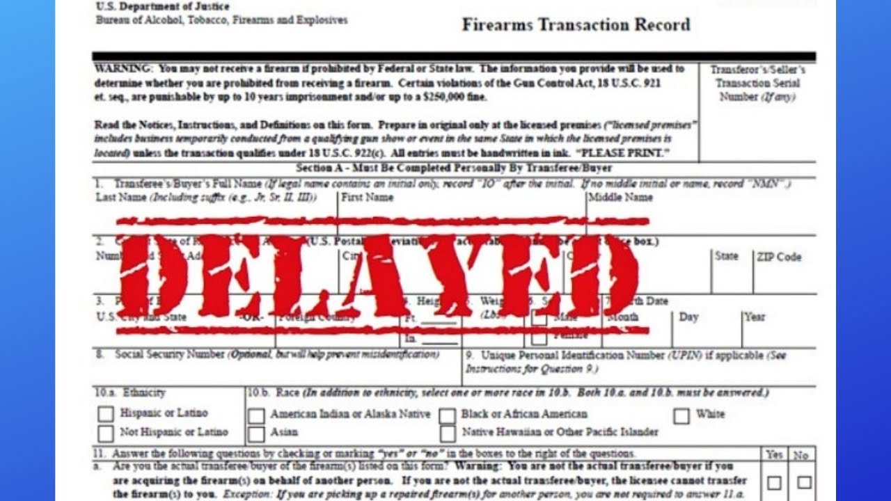 New Hampshire State Run Background Check System Fail: Up To 6 Month ...