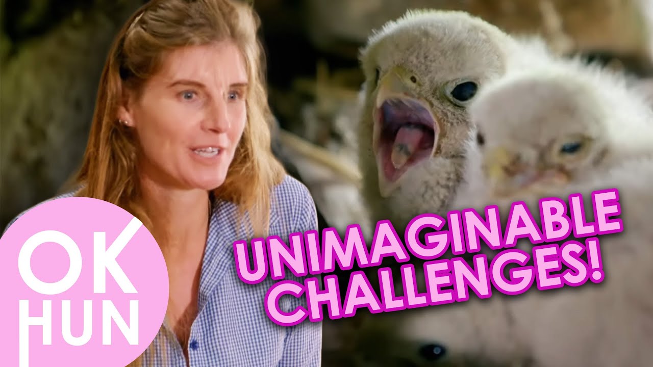 From Dilapidated Disaster to Dream Farm | SHOCKING Secrets Exposed 🤐 ...