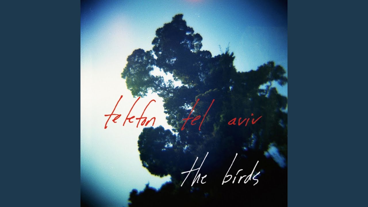 The Birds (Matthew Dear Remix) - YouTube Music