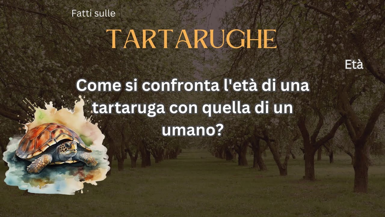 Fatto della Tartaruga 20 - Come si confronta l'età di una tartaruga con ...
