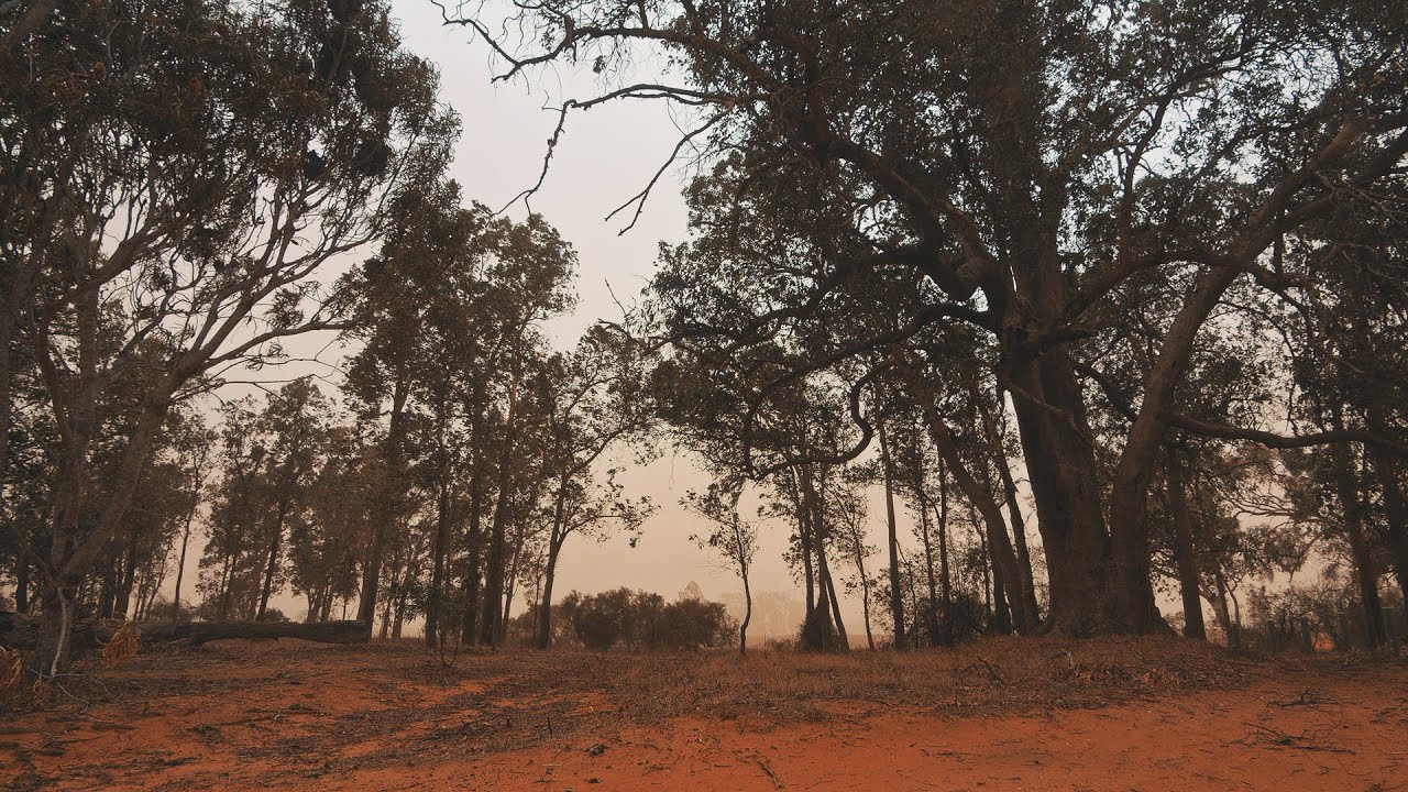 Once in a decade sandstorm | white noise | sounds of wind - YouTube