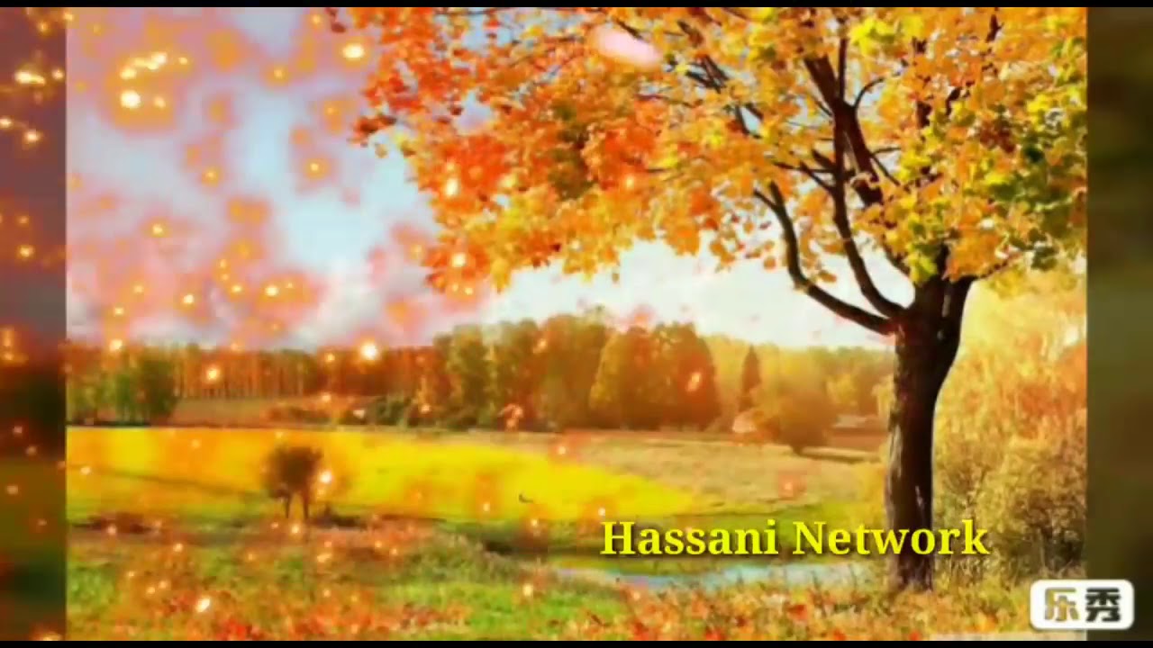 November 21, 2018 - YouTube