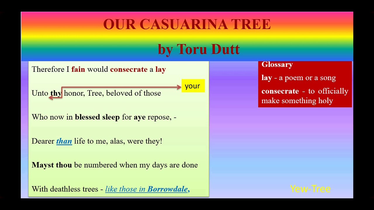 12th English poem 2 Our Casuarina Tree part 3 - YouTube