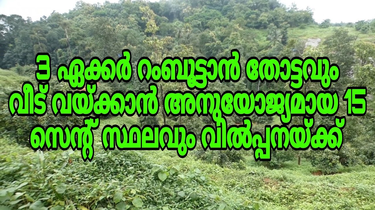 3Acres of land with full Ramboottan and 15 cents of house plot for sale ...
