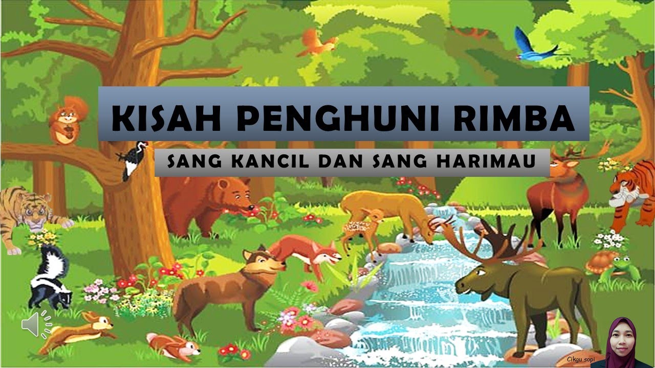 KISAH PENGHUNI RIMBA : SANG KANCIL DAN HARIMAU - YouTube