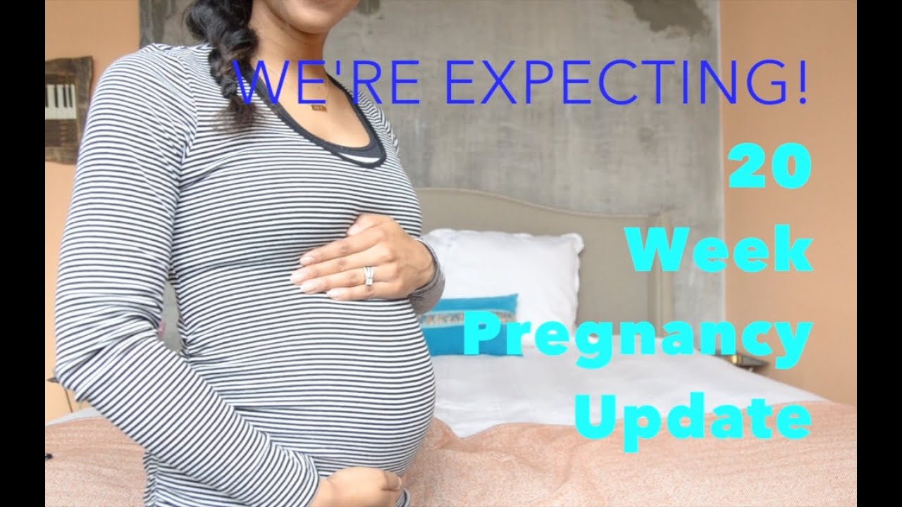 20 Week Pregnancy Update Youtube