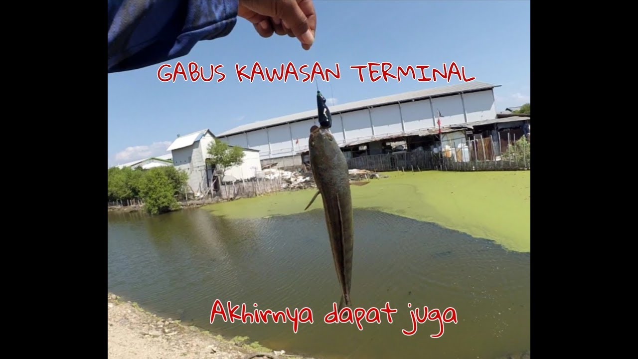Explore Casting Gabus Di Kawasan Terminal Terboyo semarang - YouTube
