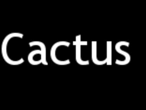 How to Pronounce Cactus - YouTube