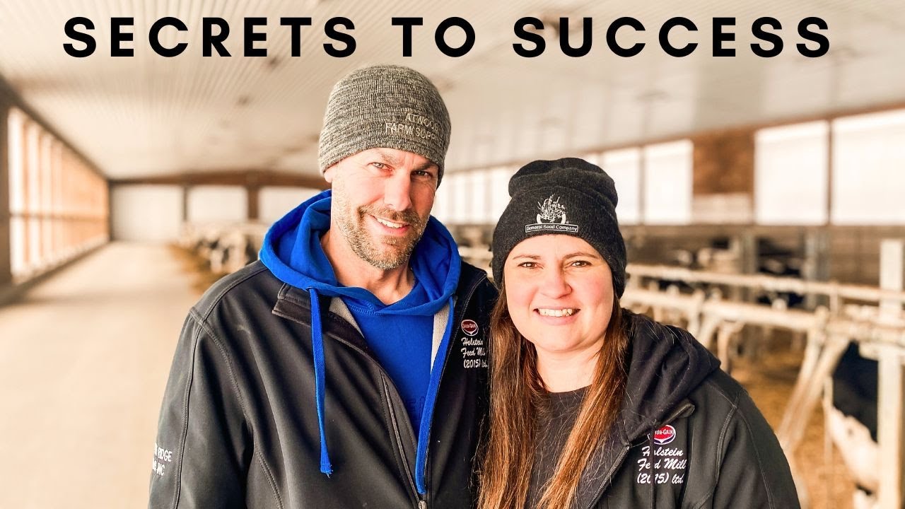 6 Steps to Dairy Farming Success! - YouTube