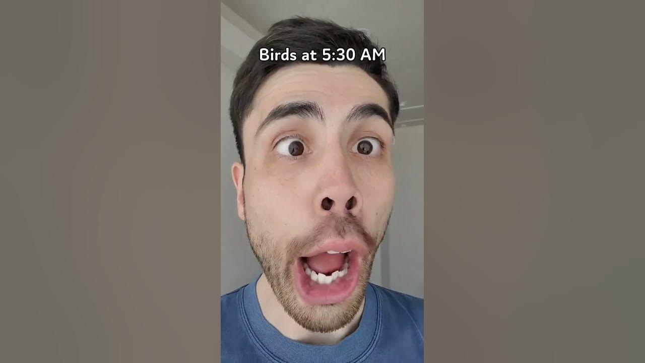 Birds Youtube