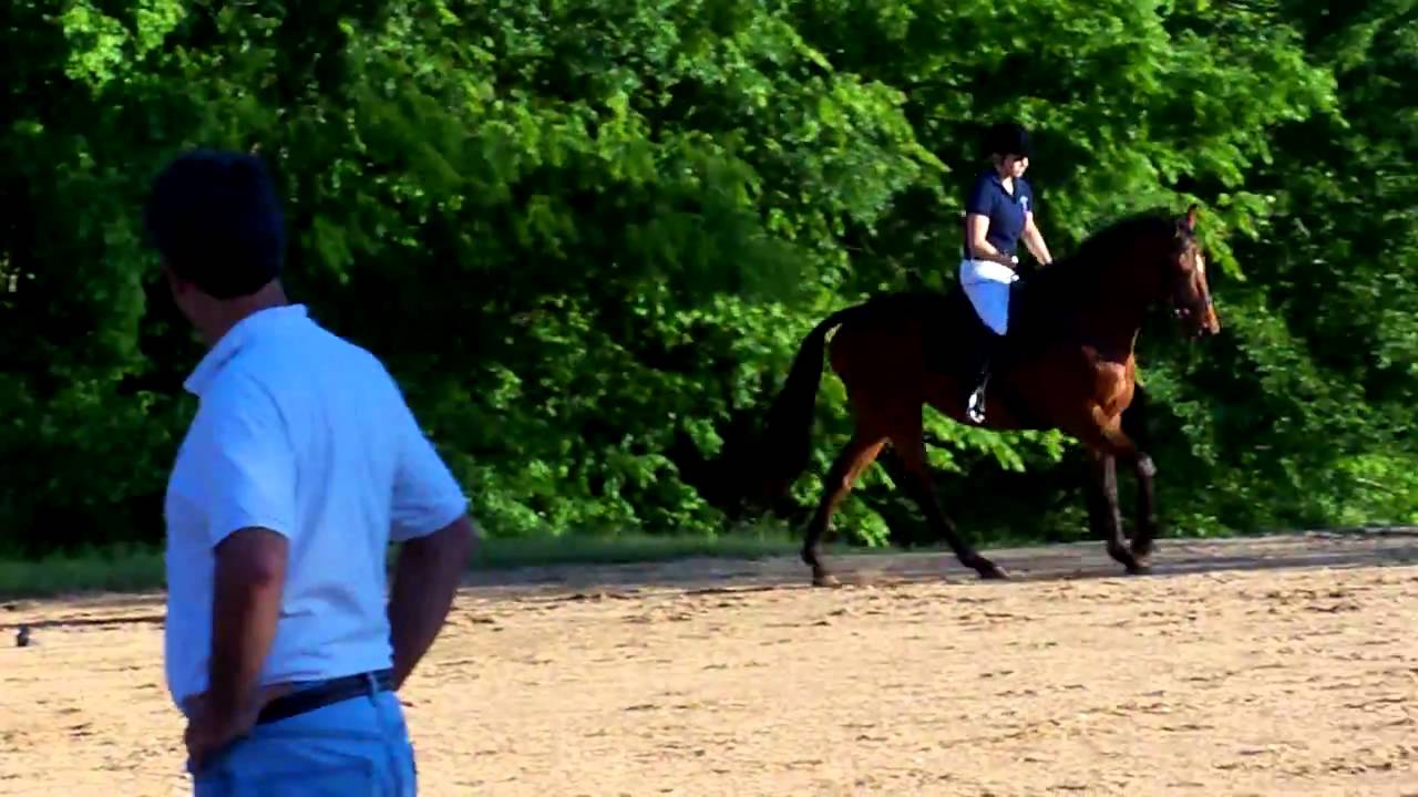 First ride at Meadow Run Farm - YouTube