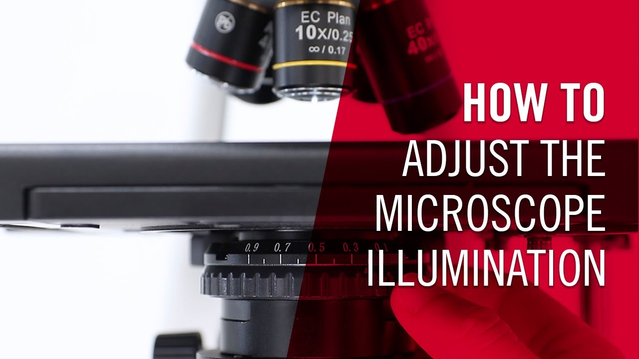 How to adjust the microscope illumination | by Motic Europe - YouTube