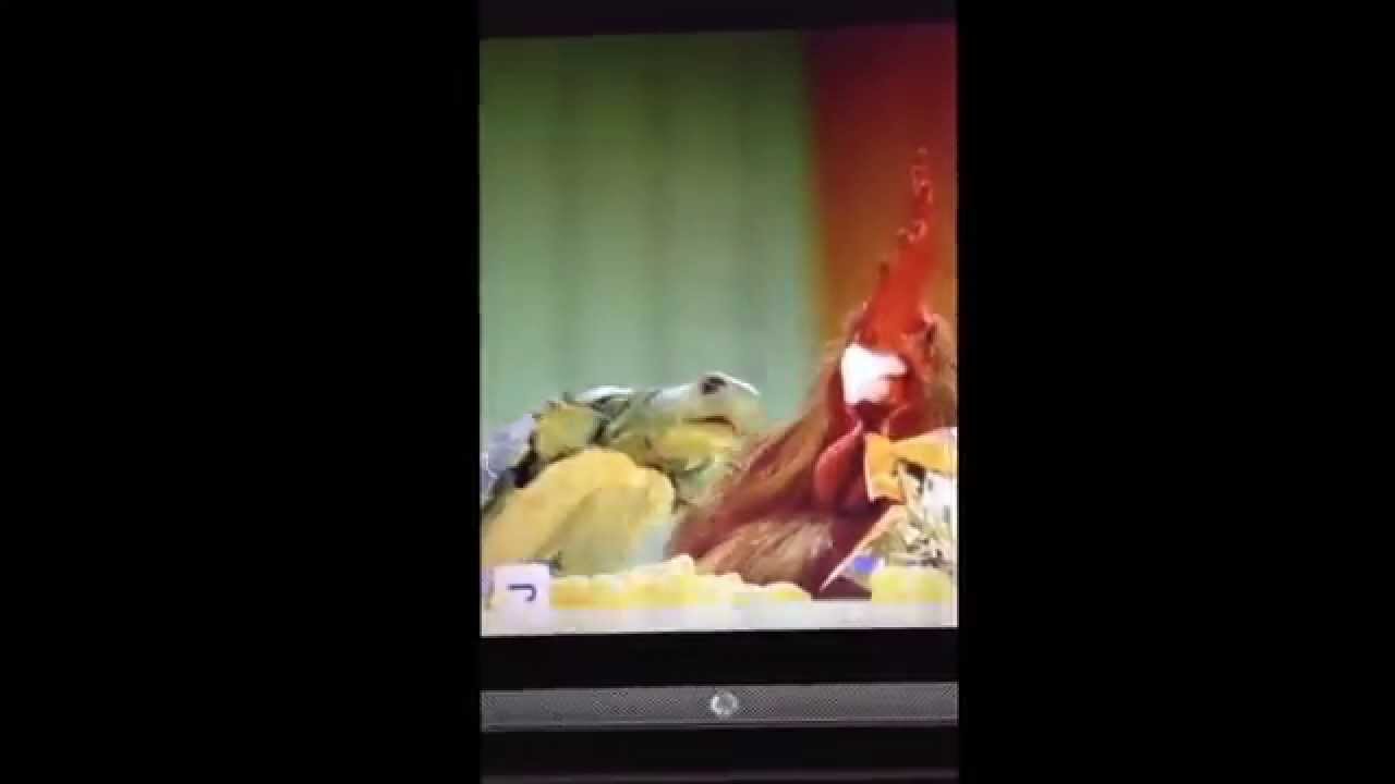 TV Funhouse Clips - YouTube