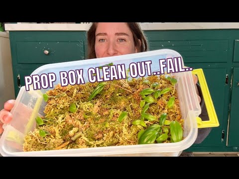 Cleaning out my prop boxes, except I don’t have soil 🤦🏻‍♀️ - YouTube