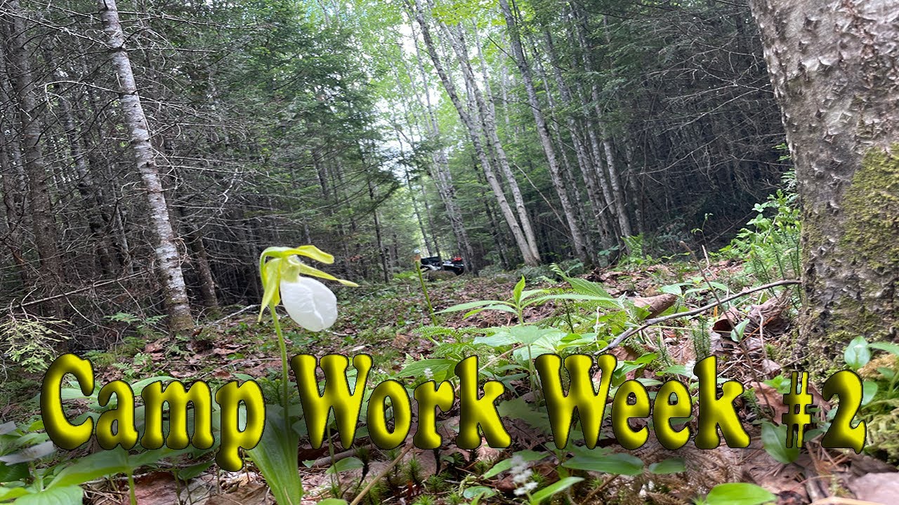 Camp work week #2 - YouTube