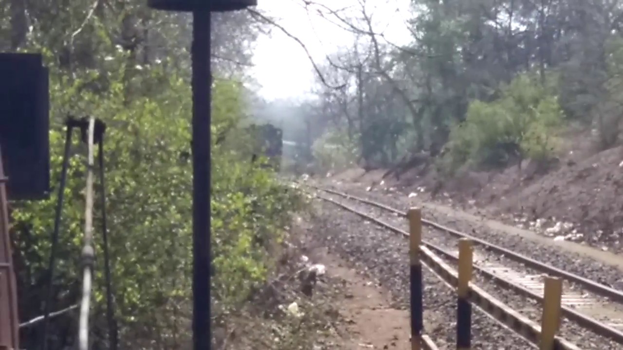 Veraval Dhasa MG Passenger Meter Gauge Train Indian Railways in Gir ...