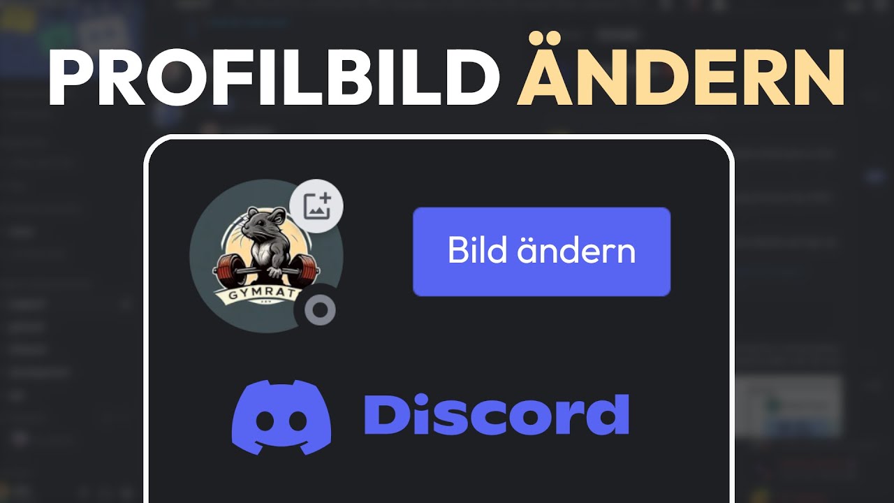 Discord Profilbild ändern 2024 (Schnell & Einfach) - YouTube