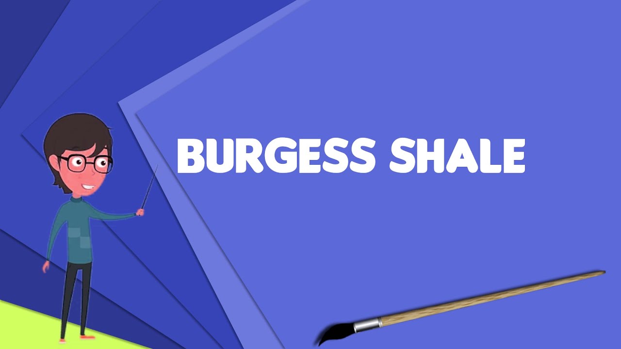 What is Burgess Shale? Explain Burgess Shale, Define Burgess Shale ...
