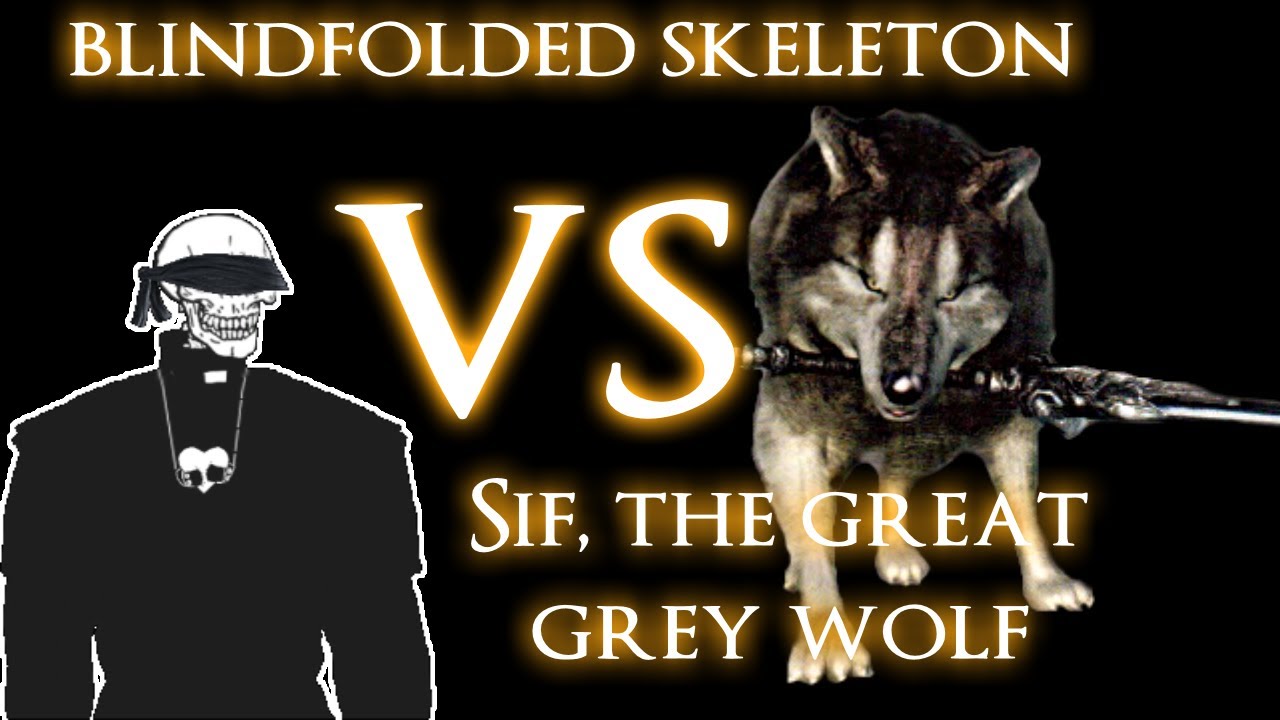 Beating Sif, the Great Grey Wolf blindfolded. - YouTube