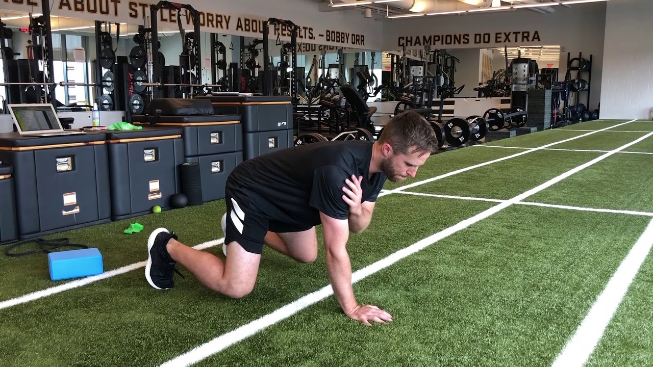 Bear Position Shoulder Taps - YouTube