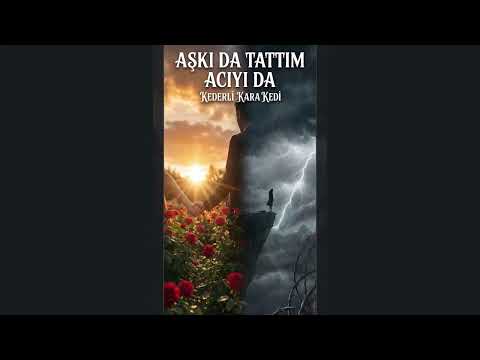 Kederli Kara Kedi - Aşkı da Tattım Acıyı da (Official Video)