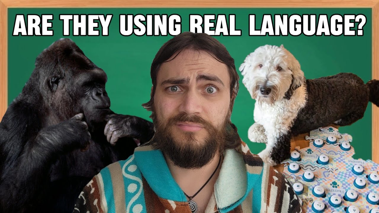 Can animals understand real language? - YouTube