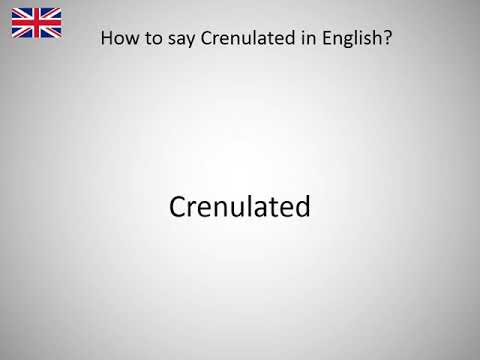 How to say Crenulated in English? - YouTube