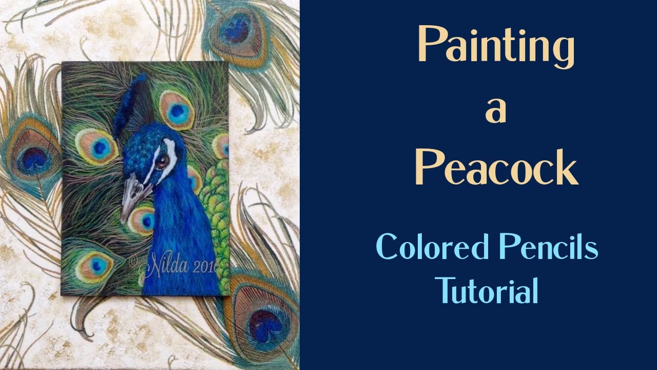 Learn to Paint / Draw with Colored Pencils Peacock Painting Tutorial ...
