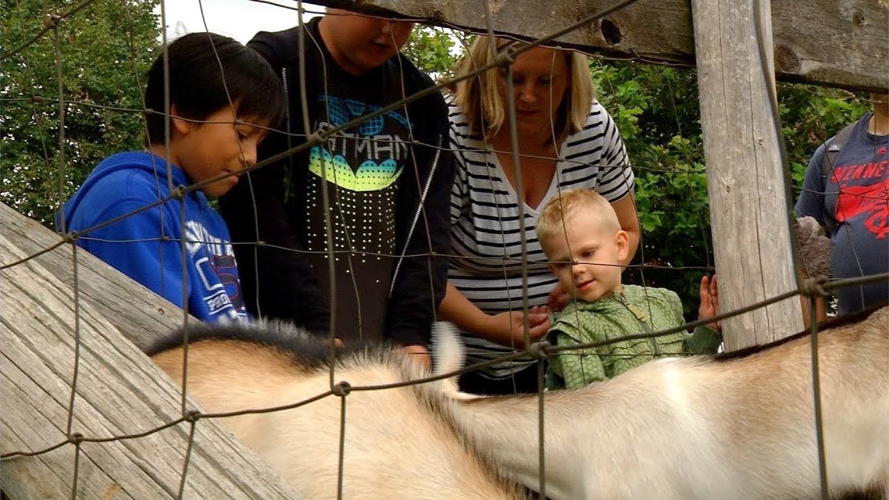 Historic Eidem Farm's 40th Anniversary - YouTube