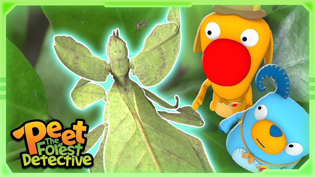 What's Inside the Mystery Flower? 🌸 | Animal Stories For Kids | Peet ...