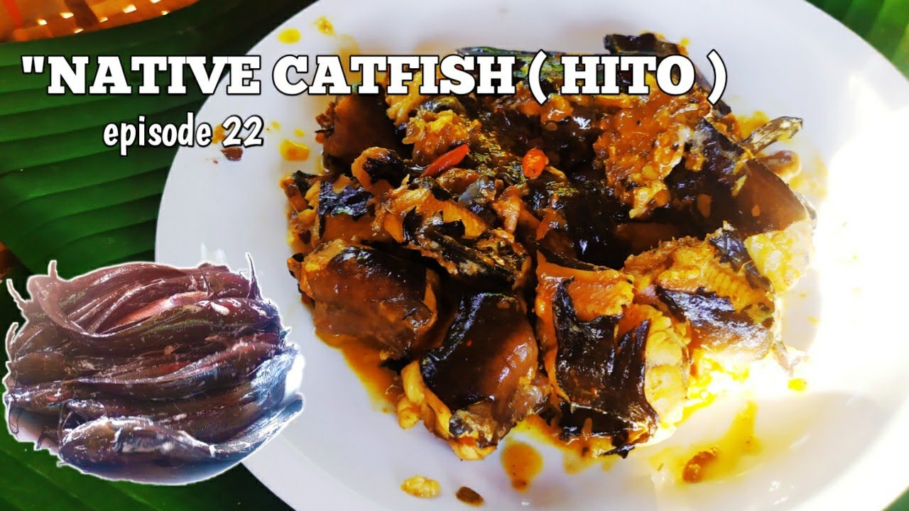 COOKING NATIVE CATFISH STEWED IN COCONUT MILK ( "ginataang hito ...
