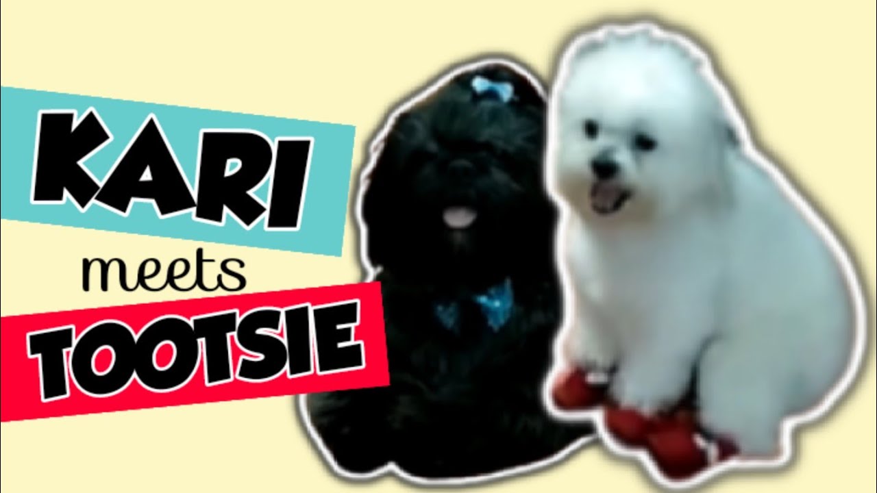 MAY BUMISITA SA AMING BABY | Kari & Tootsie | PROUDLY MOMMY VLOGS - YouTube