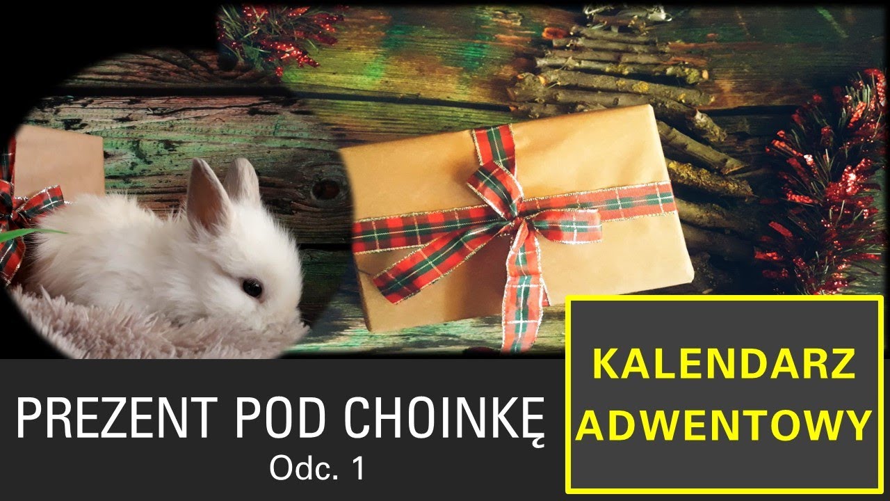 Królik-DIY-(1) prezent pod choinkę - kalendarz adwentowy - YouTube