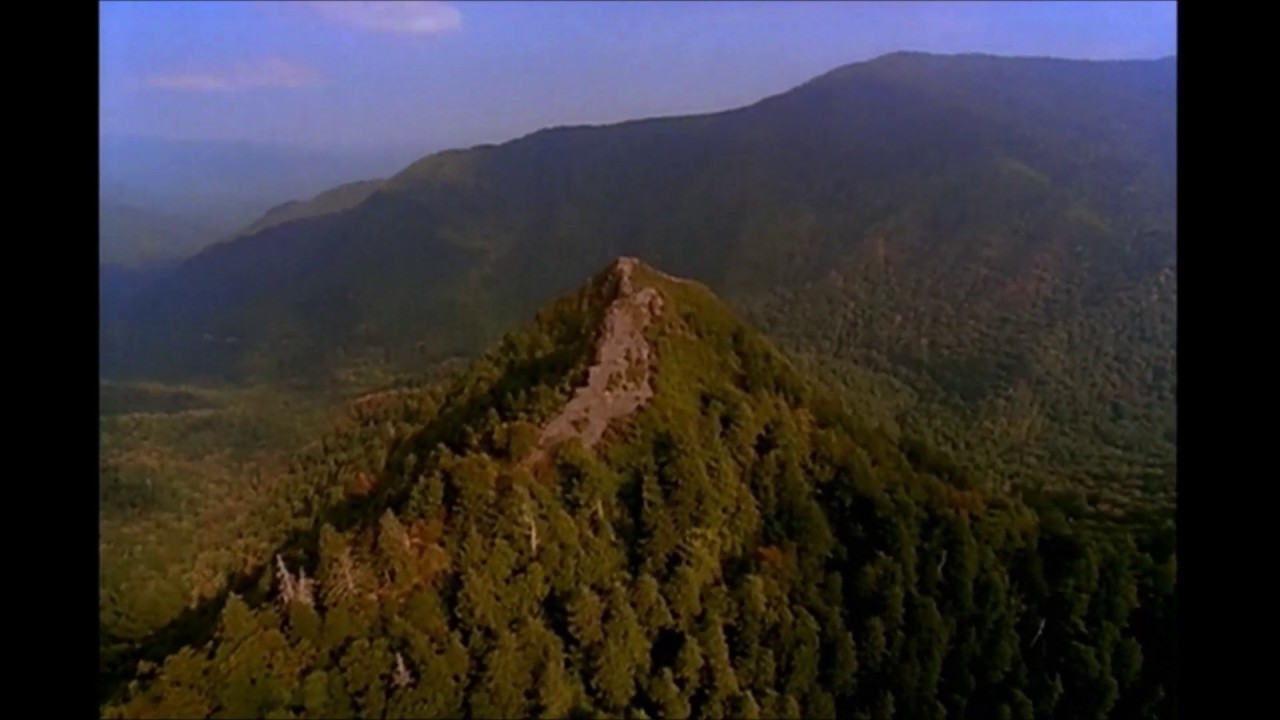 Who You Are Baba - YouTube Music