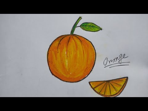 How To Draw An Orange|| Basic drawing step by step|| - YouTube