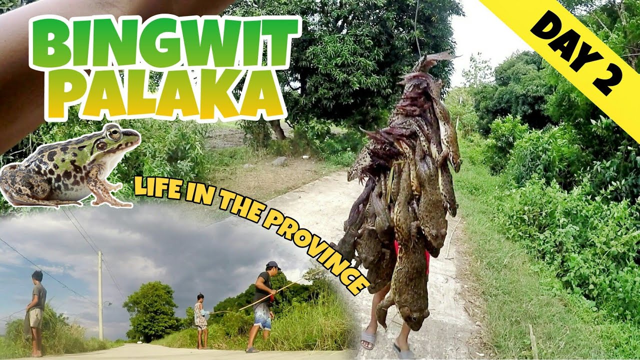 BINGWIT PALAKA DAY 2 PART 2 | Life in the Province 🐸 - YouTube