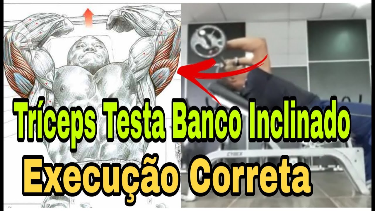 COMO FAZER TRICEPS TESTA COM BARRA NO BANCO INCLINADO - YouTube